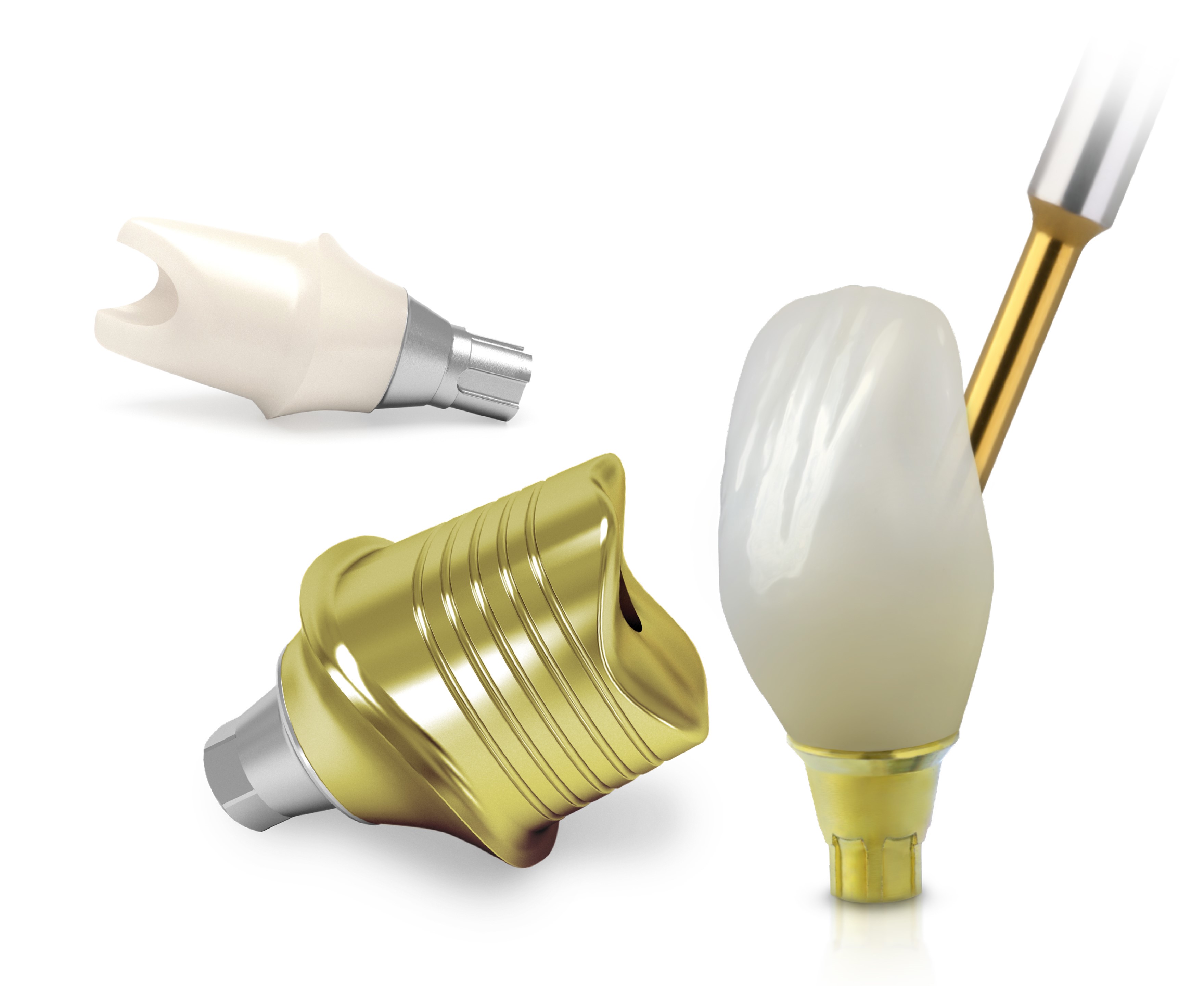 Viewpoint: An Interview with Paul Cascone and Steaffani Dall of Argen ...